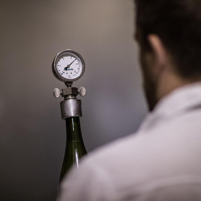 How white wine is made: the stages of vinification